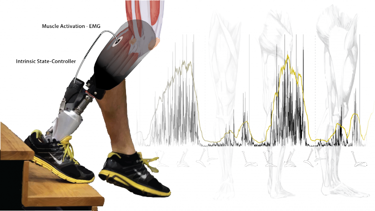 Biomechatronics – MIT Media Lab